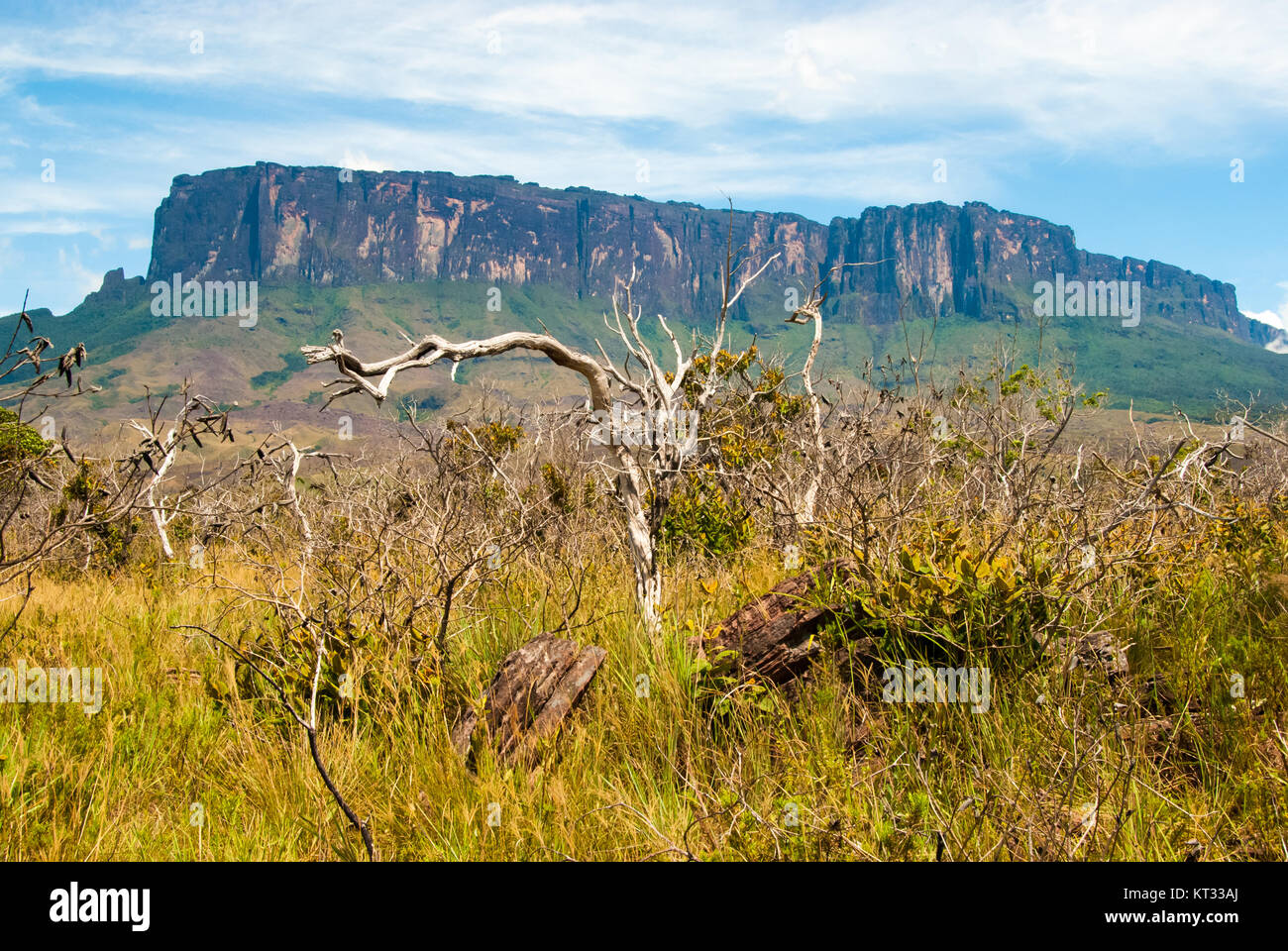 Roraima Tepui, Gran Sabana, Venezuela Stock Photo - Alamy