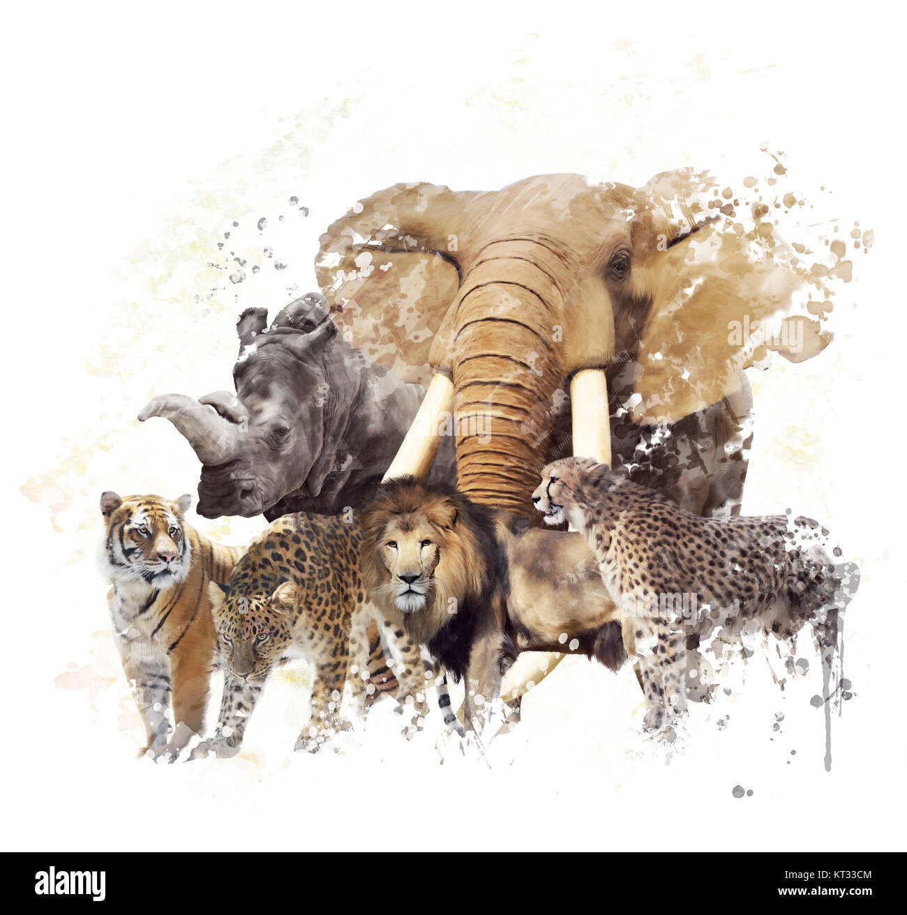 Wild Animals Watercolor Stock Photo - Alamy