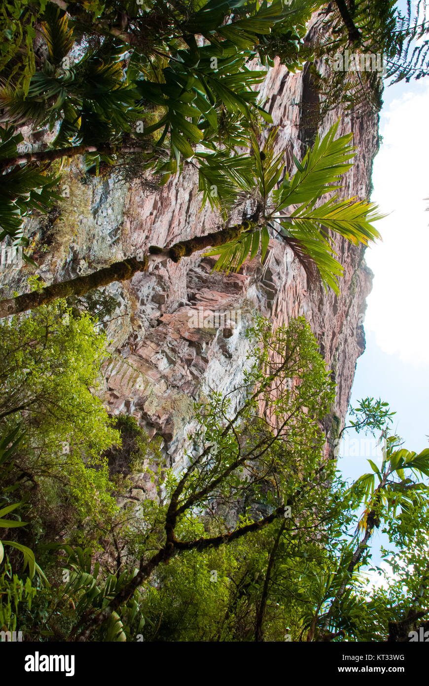 Roraima Tepui, Gran Sabana, Venezuela Stock Photo - Alamy