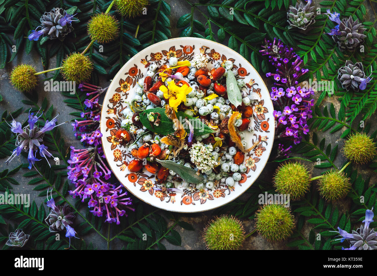 Vintage Flower Flowers Seeds Seed High Resolution Stock Photography and ...