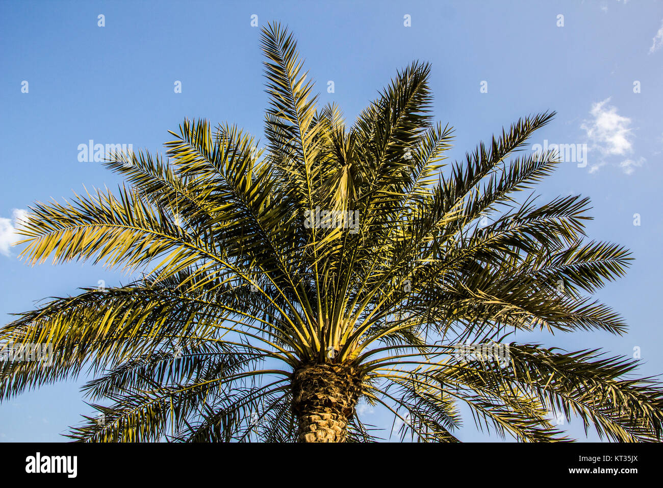 Nature the beautiful Stock Photo - Alamy