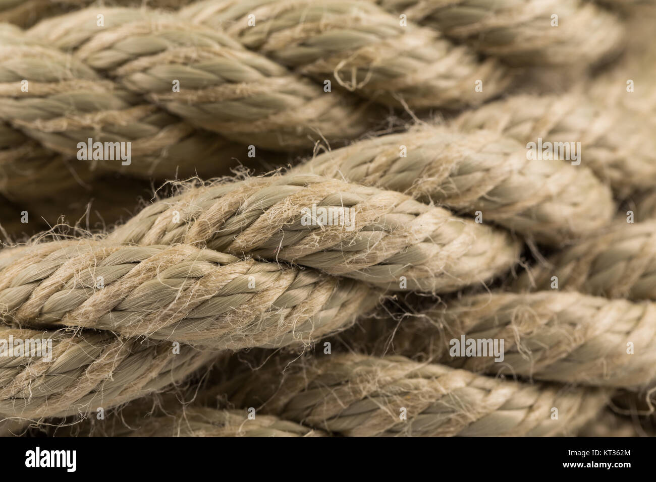 Old rope close up Stock Photo - Alamy