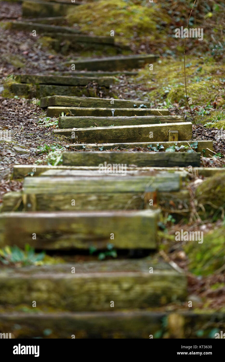 Wooden steps in a path in Aberporth Stock Photo - Alamy