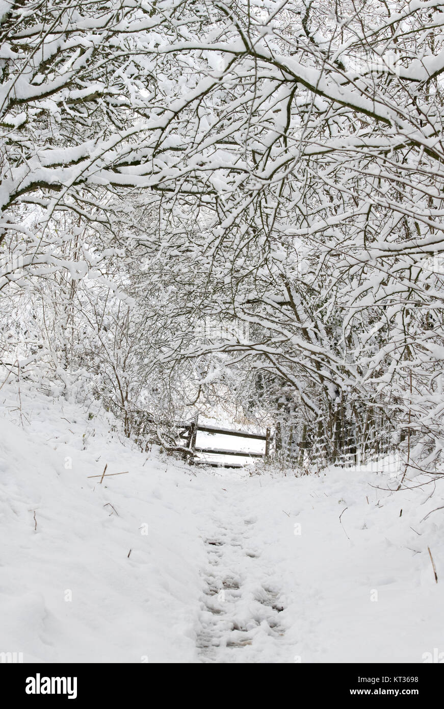 Snow tunnel hi-res stock photography and images - Alamy