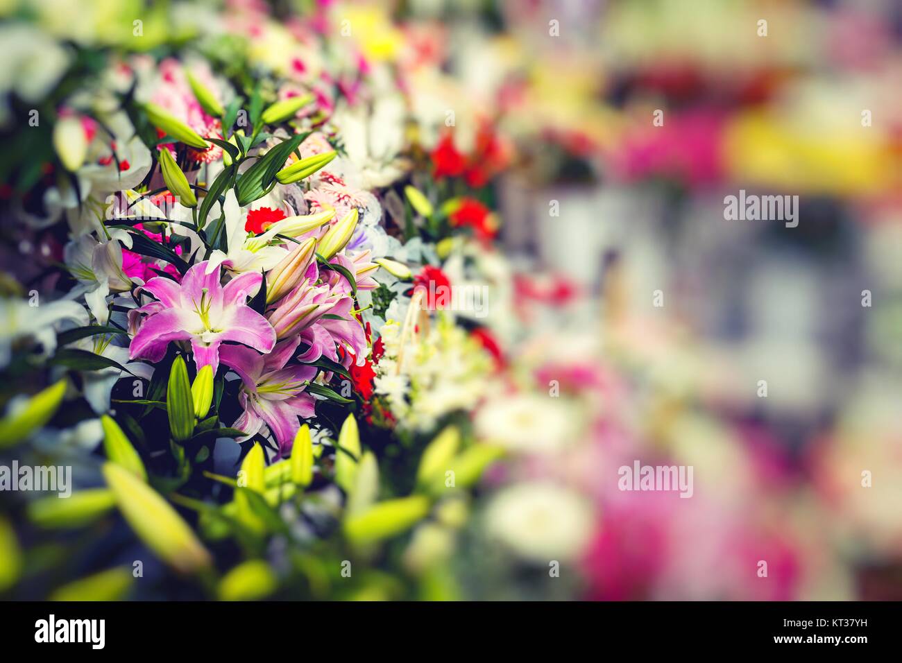 Midsummer celebration latvia hi-res stock photography and images - Alamy