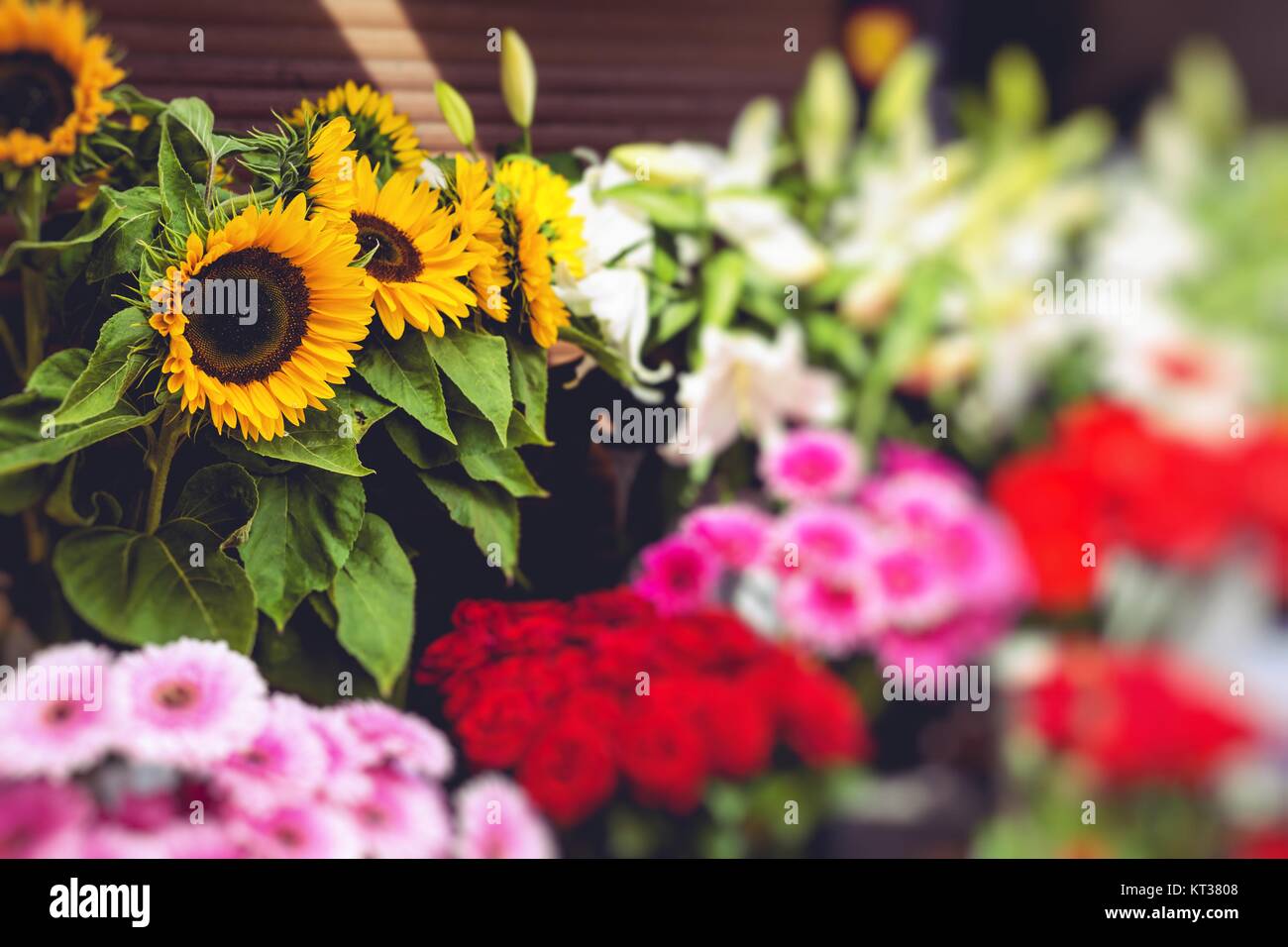 Midsummer celebration latvia hi-res stock photography and images - Alamy