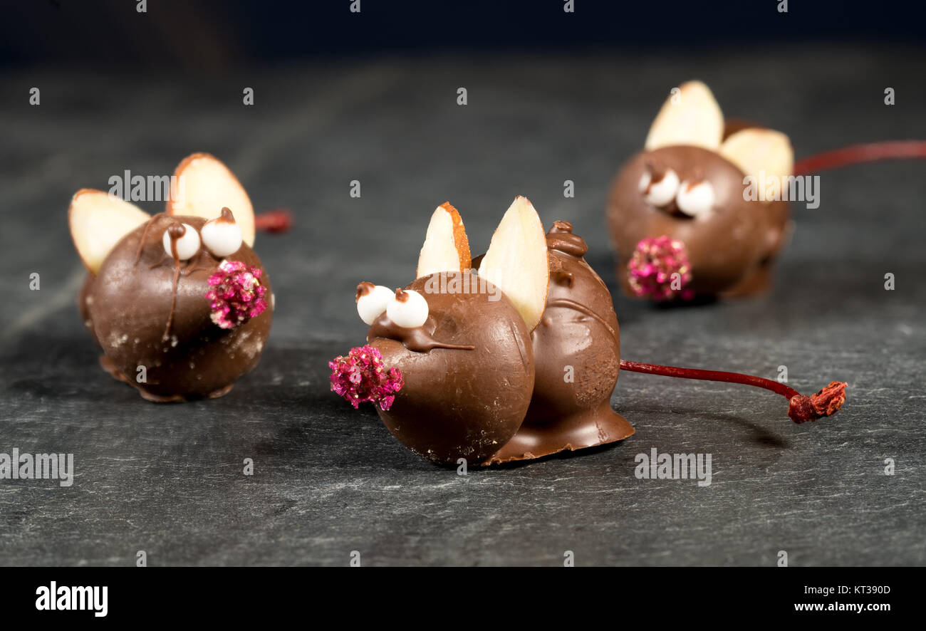 Chocolate covered mouse on top of slate table Stock Photo - Alamy
