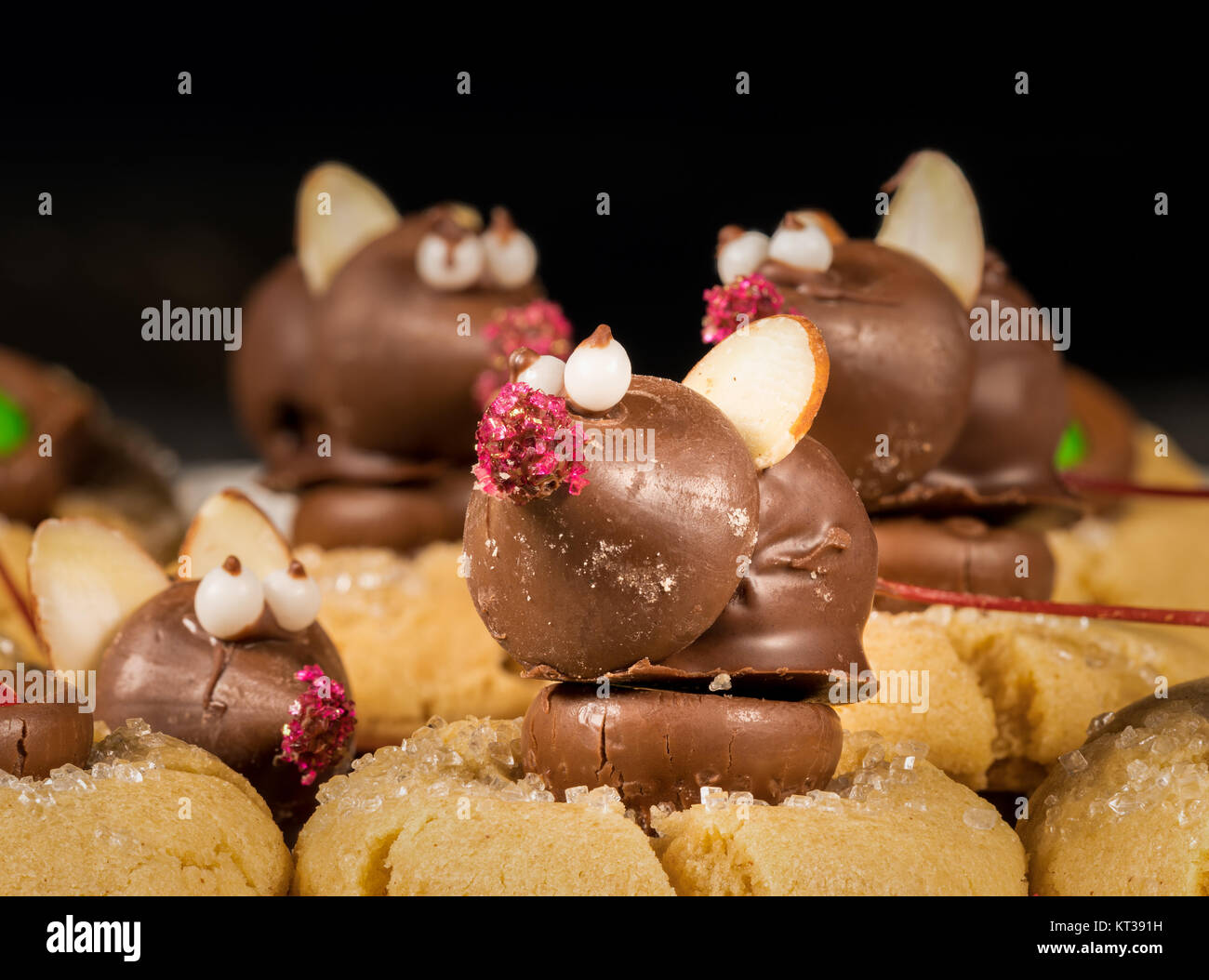 Chocolate covered mouse on top of cookies Stock Photo - Alamy