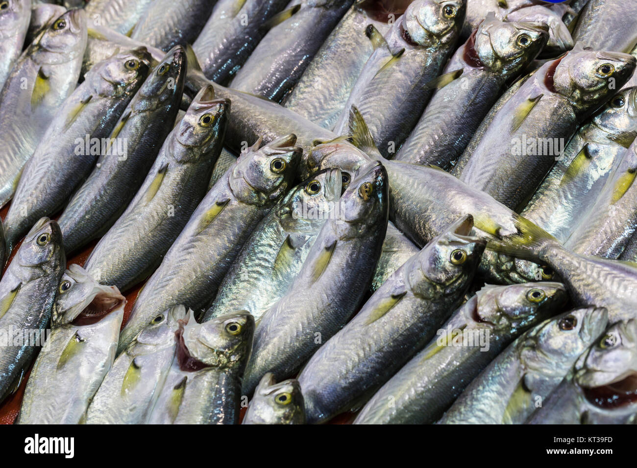 Fresh fish at the seafood market Stock Photo - Alamy