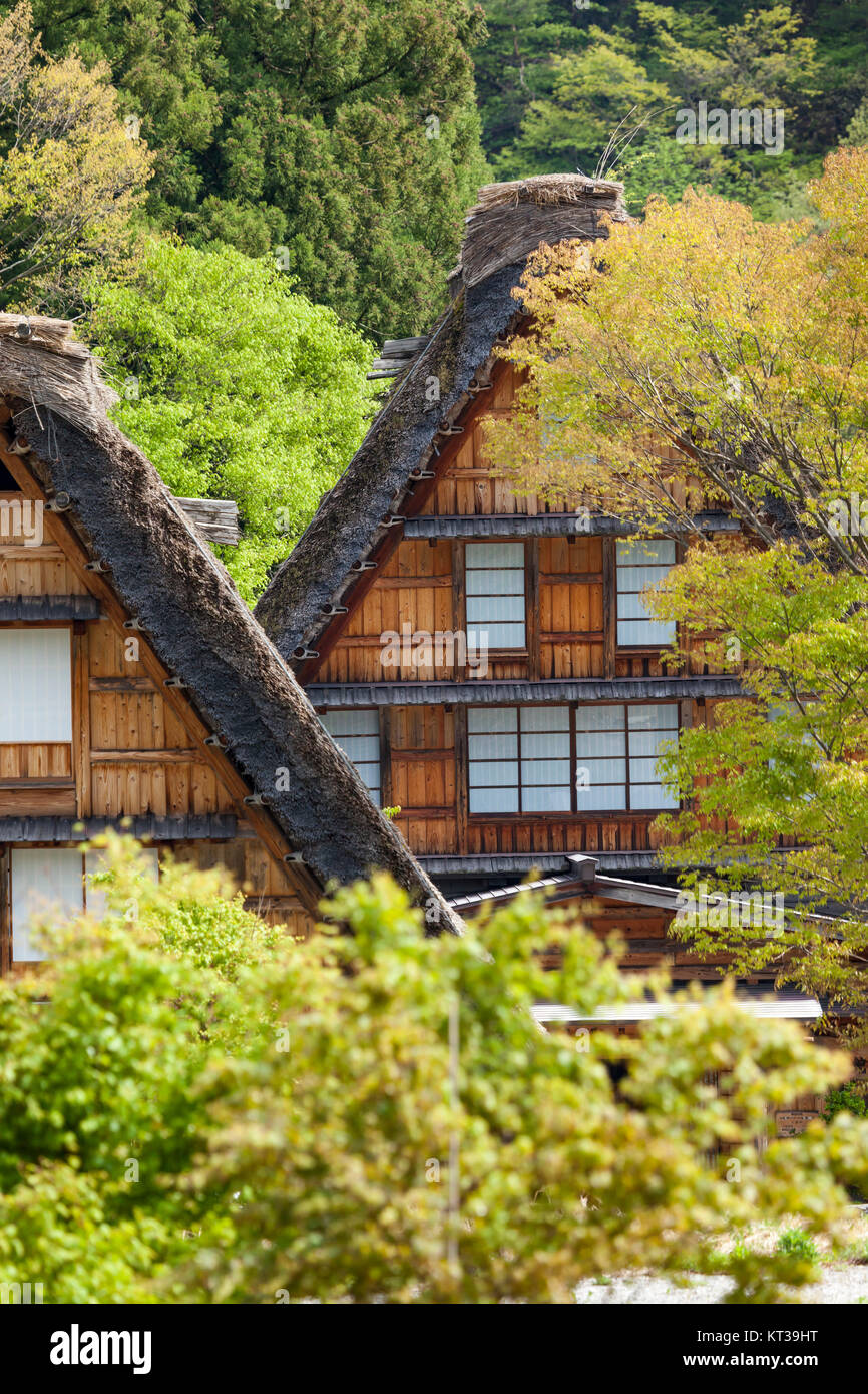Traditional and Historical Japanese village Ogimachi - Shirakawa-go ...