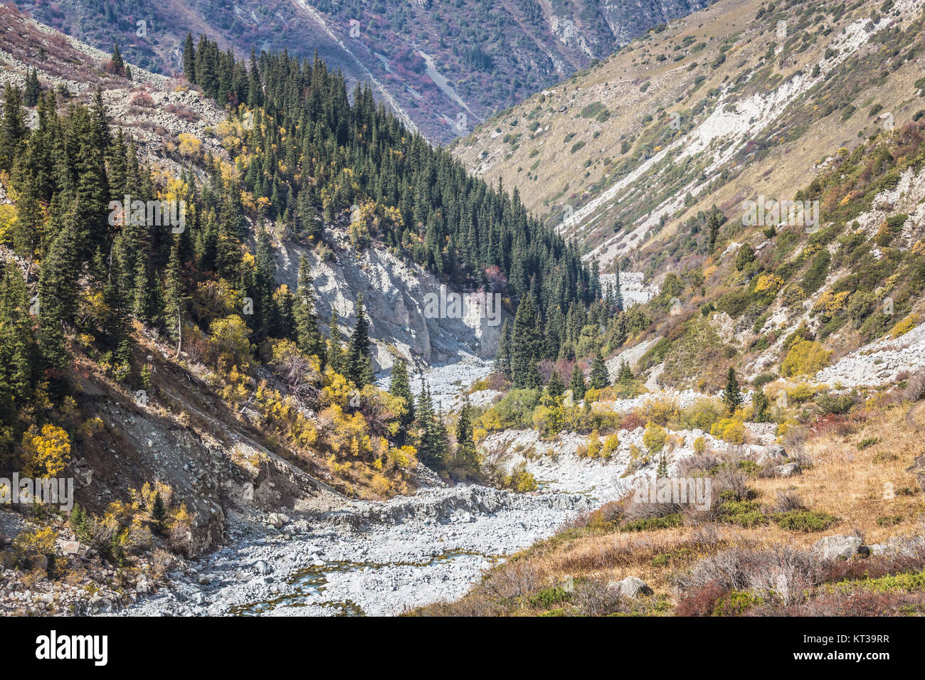 The panorama of mountain landscape of Ala-Archa gorge in the summer's ...