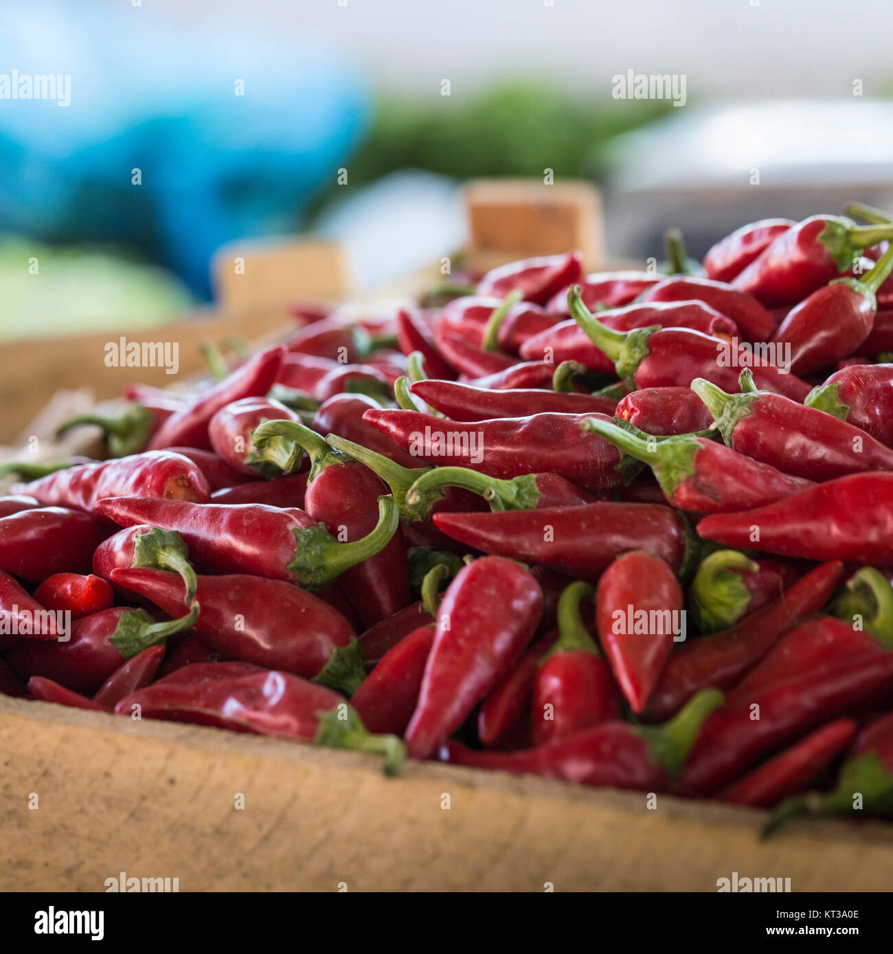 The picture shows a pile of small, red, very hot and spicy chilli ...