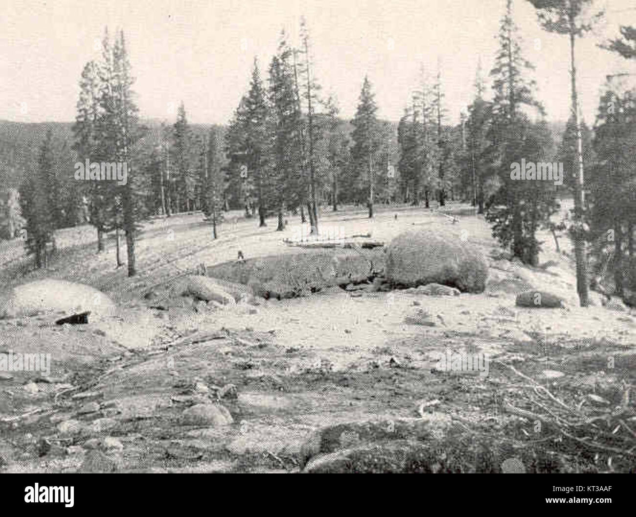 This image captures the alluvial ridge separating Volcano Creek and the ...