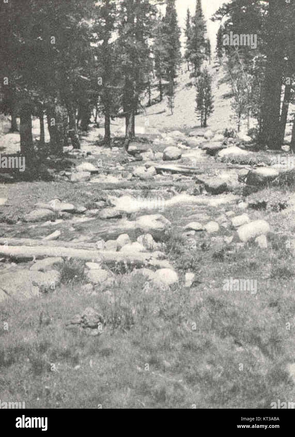 Whitney Creek flows into Crabtree Meadow, showcasing the natural beauty ...