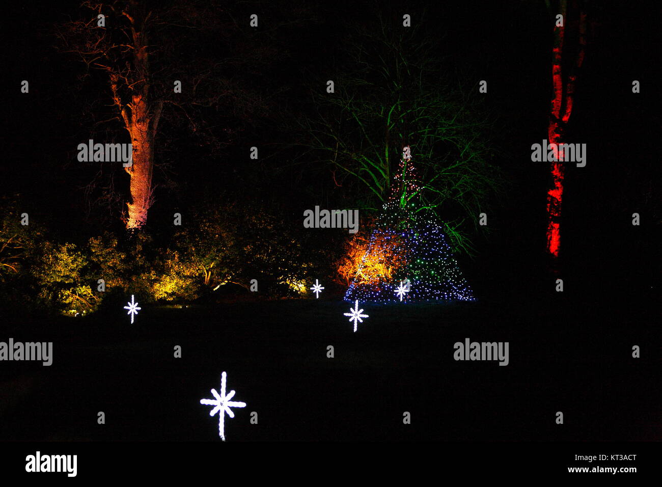 Various lighting effects are used to light up the trees at the National ...