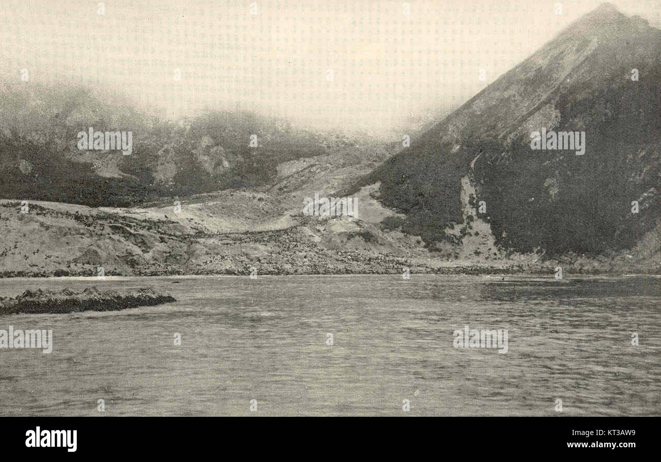 39919 Palata Rookery, Copper Island, from a Rock Off the Rookery ...