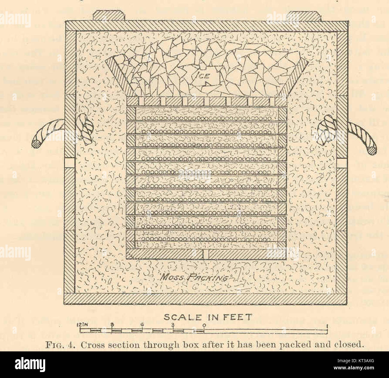 This image shows a cross-section through a packed box, providing ...