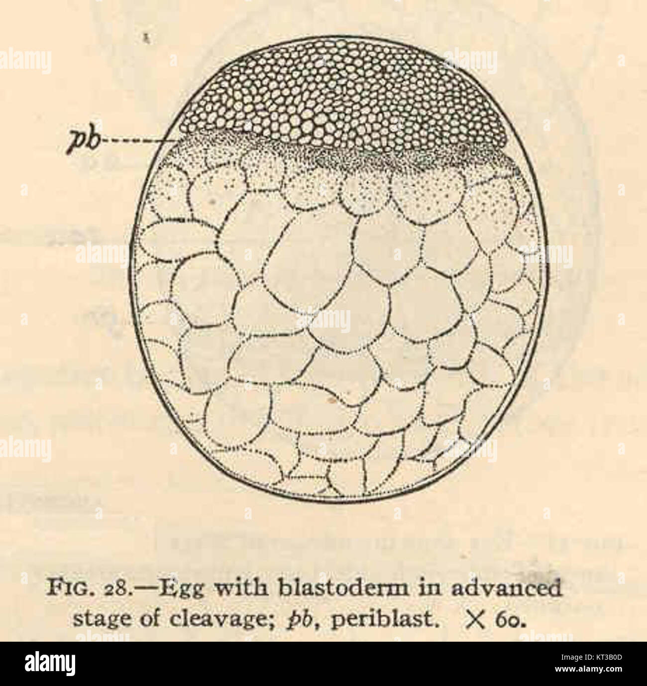 39991 hi-res stock photography and images - Alamy