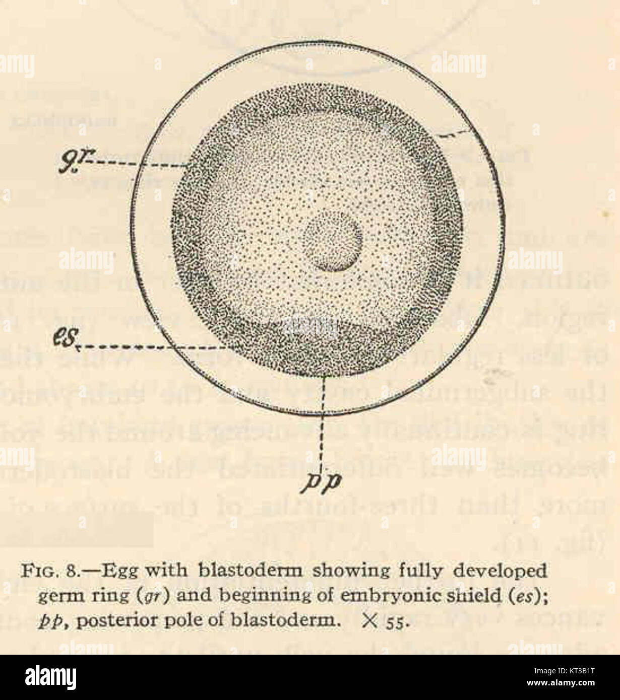 40027 hi-res stock photography and images - Alamy