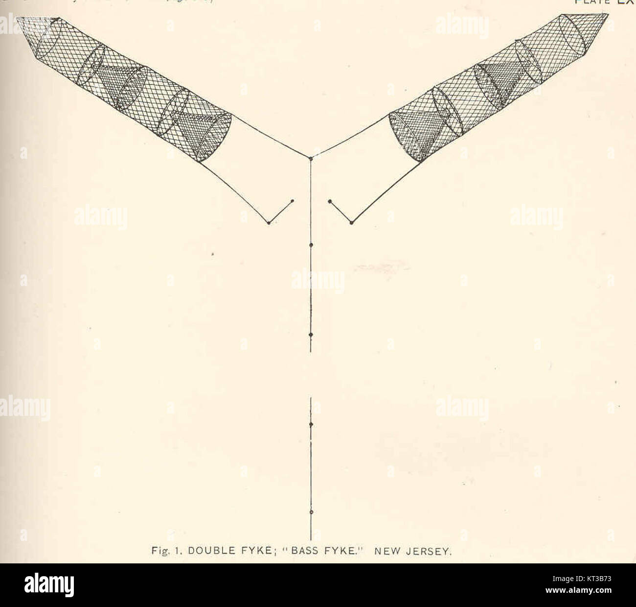 A photograph of the 'Bass Fyke' or 'Double Fyke,' a type of fishing ...