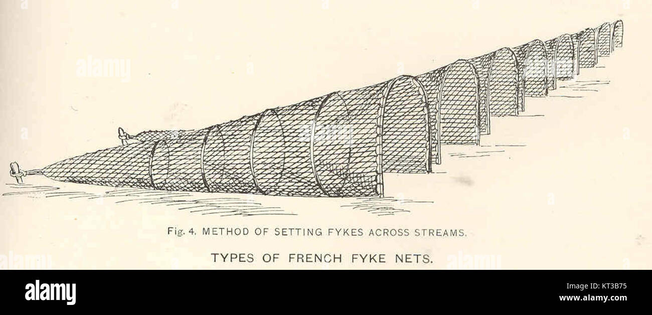 The image depicts various types of French fyke nets, a traditional ...