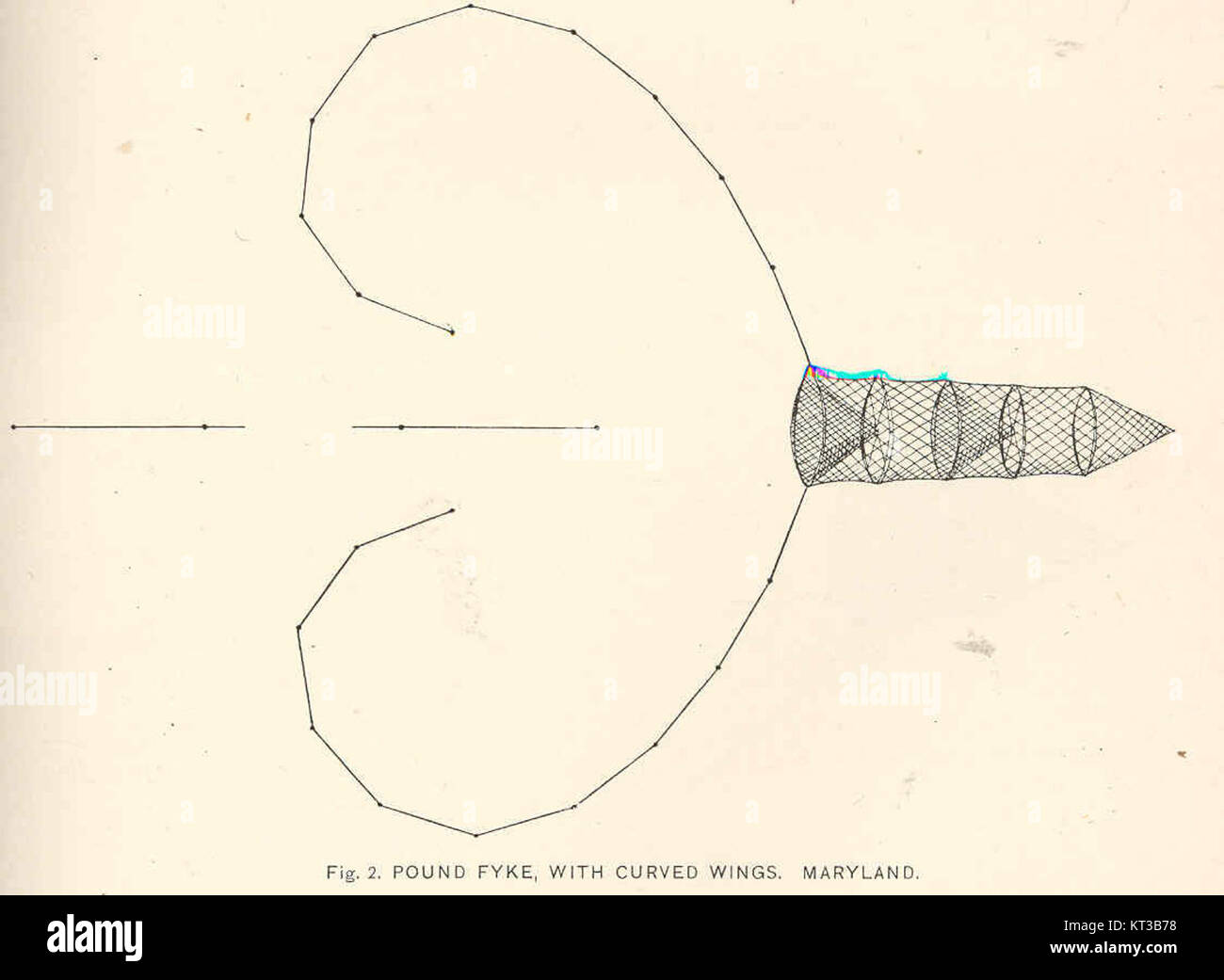 Curved wings hi-res stock photography and images - Alamy