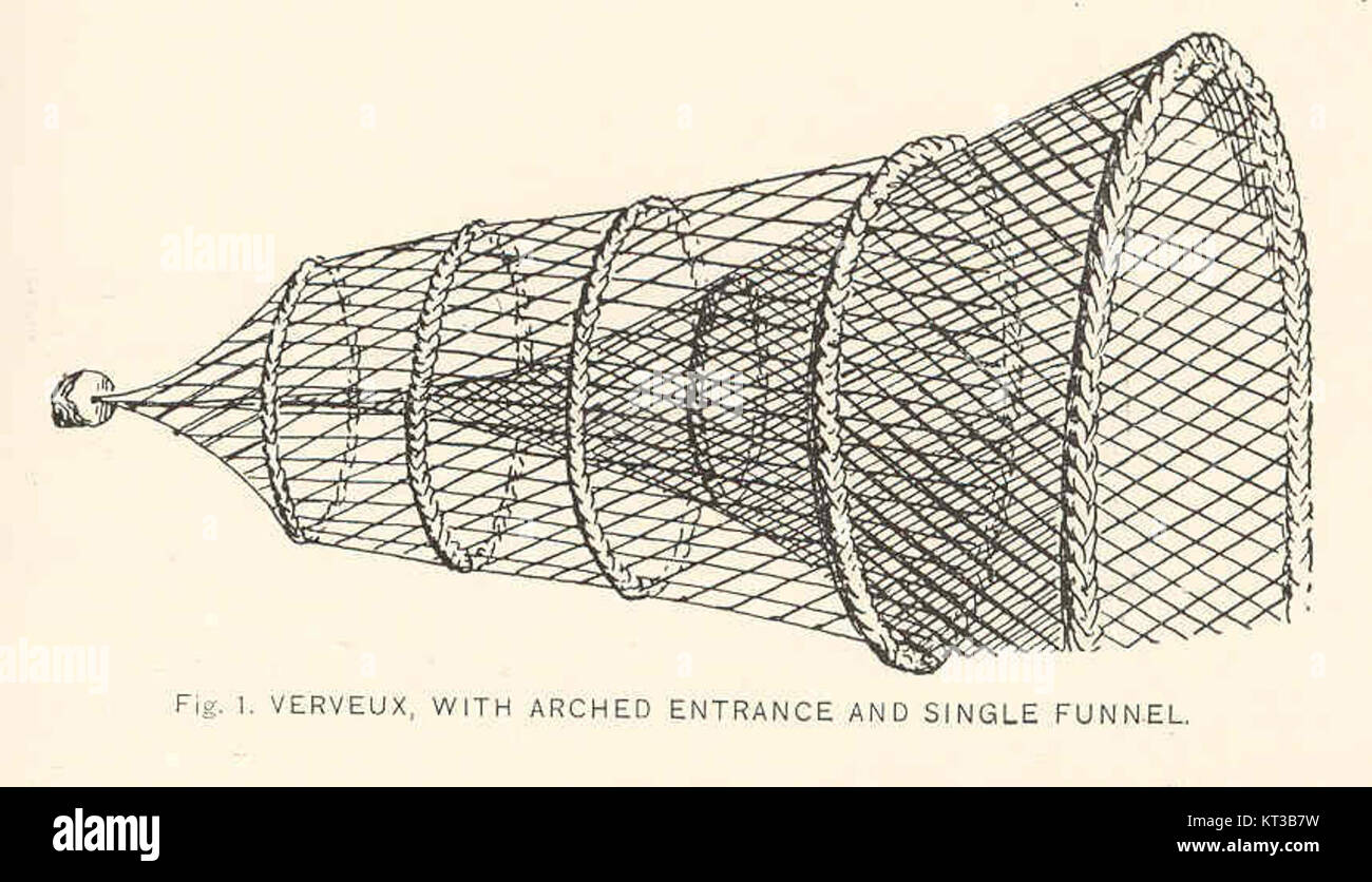 40179 Types of French Fyke Nets- Verveux, with Arched Entrance and ...