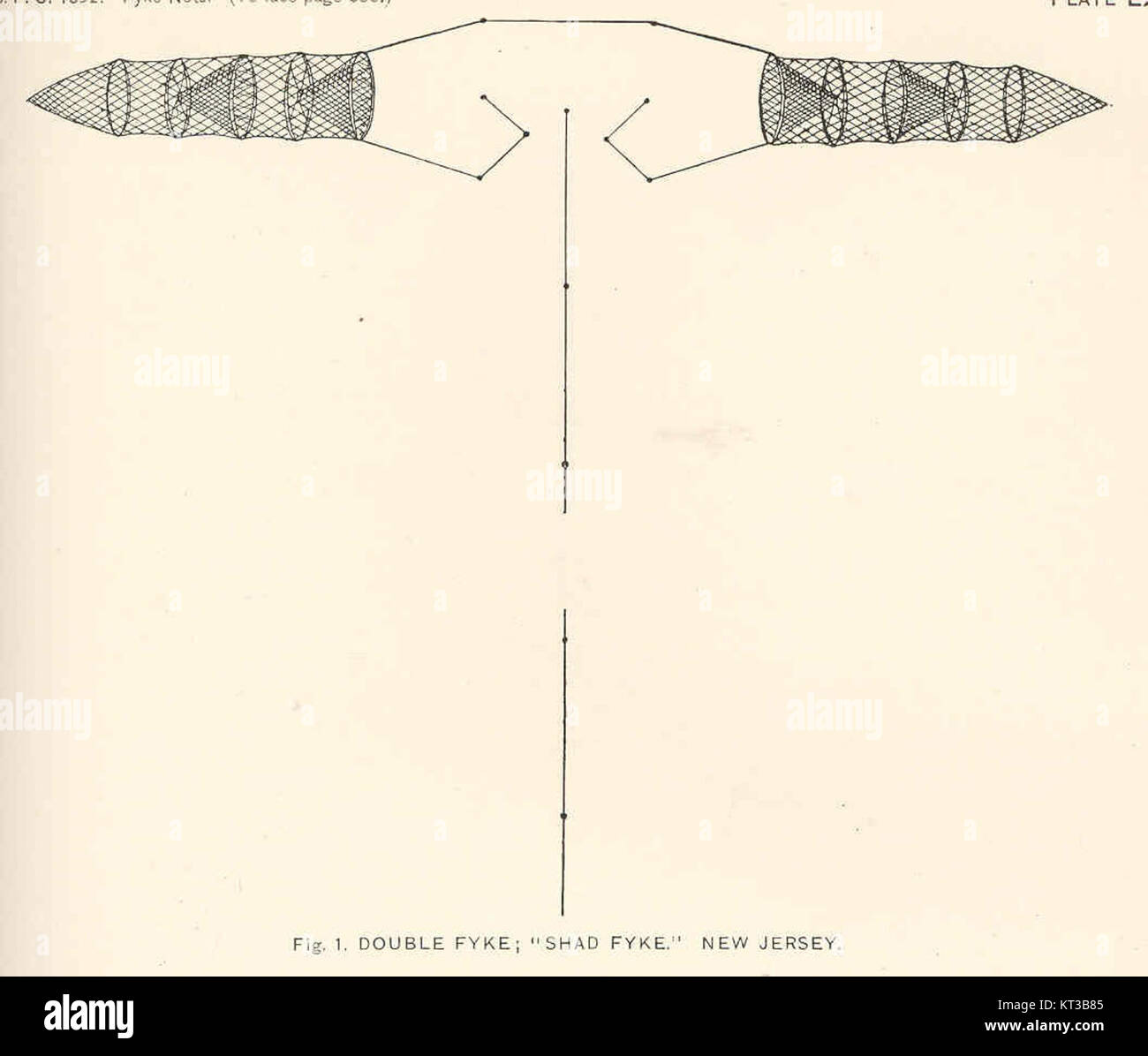 The 40187 Double Fyke, also known as 'Shad Fyke', is a type of fishing ...