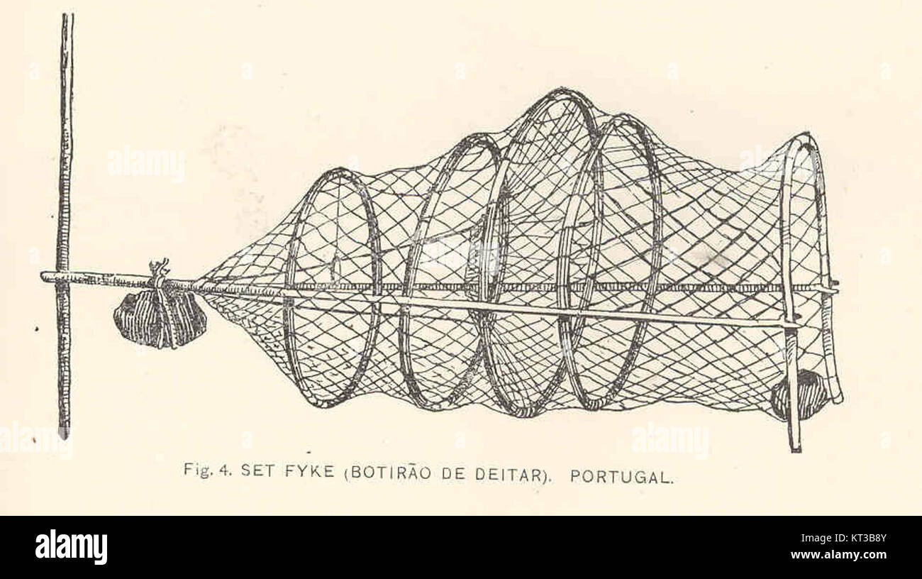This set of fyke nets, known as 'Botirao de Deitar,' originates from ...