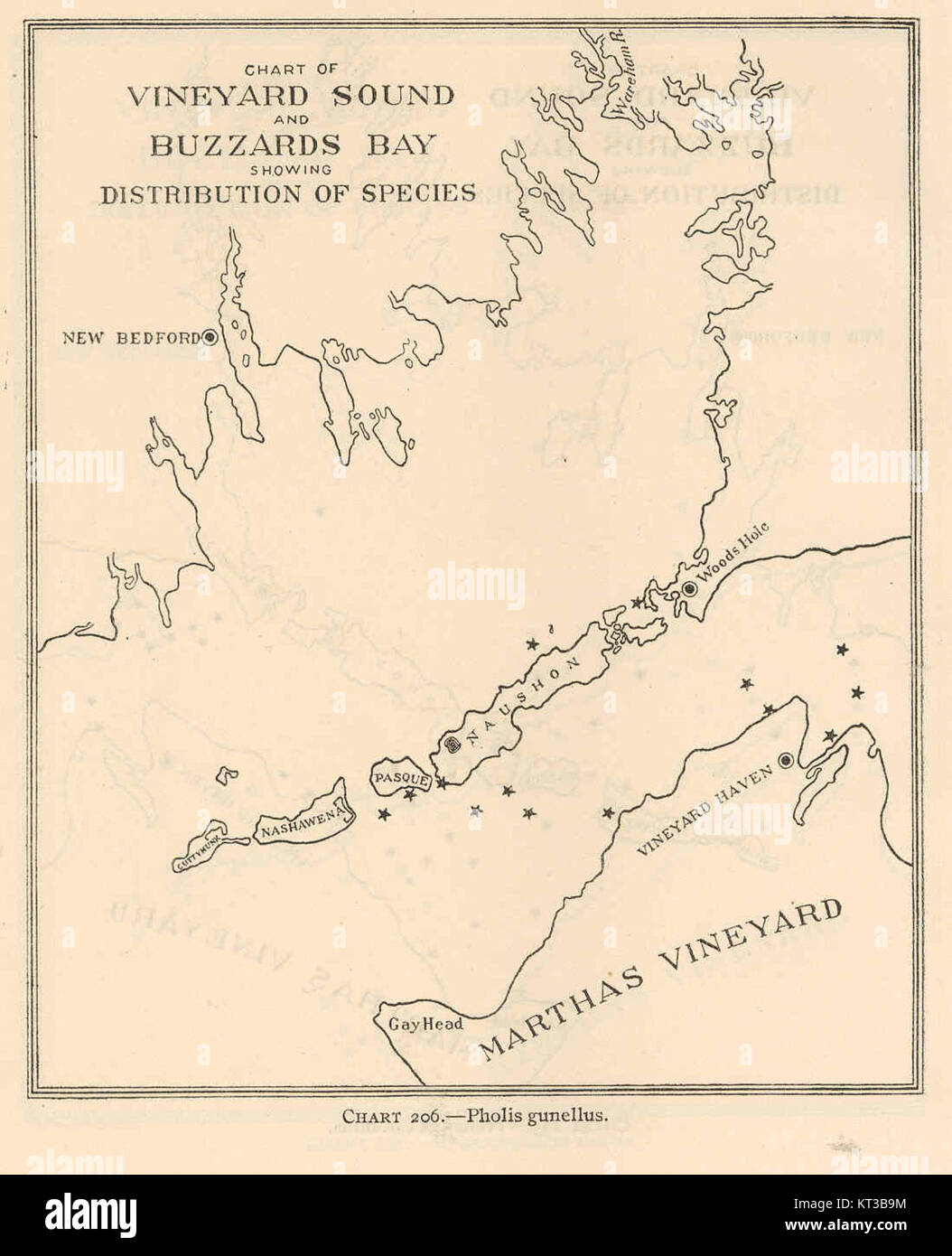 Chart showing distribution hi-res stock photography and images - Alamy