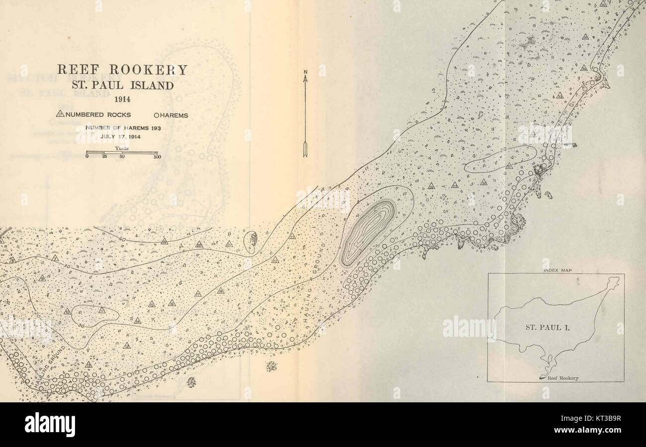 40223 Reef Rookery, St Paul Island, 1914 Stock Photo - Alamy