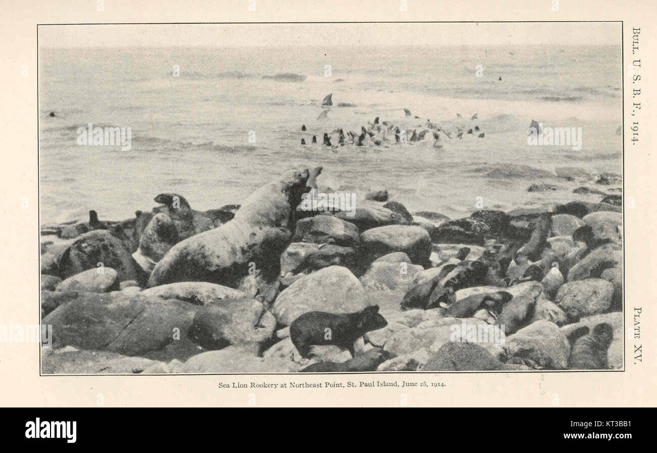 This historic photograph from June 28, 1914, captures the Sea Lion ...