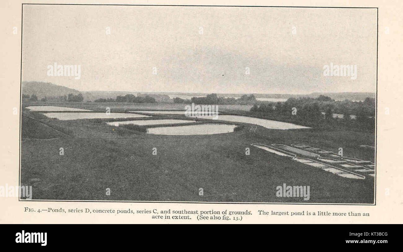 40296 Ponds, series D, concrete ponds, series C, and southeast portion ...