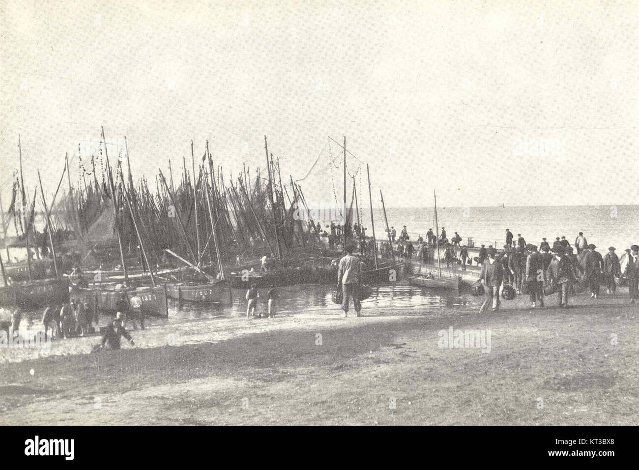 This image depicts sardine boats at a wharf, unloading their catch. The ...