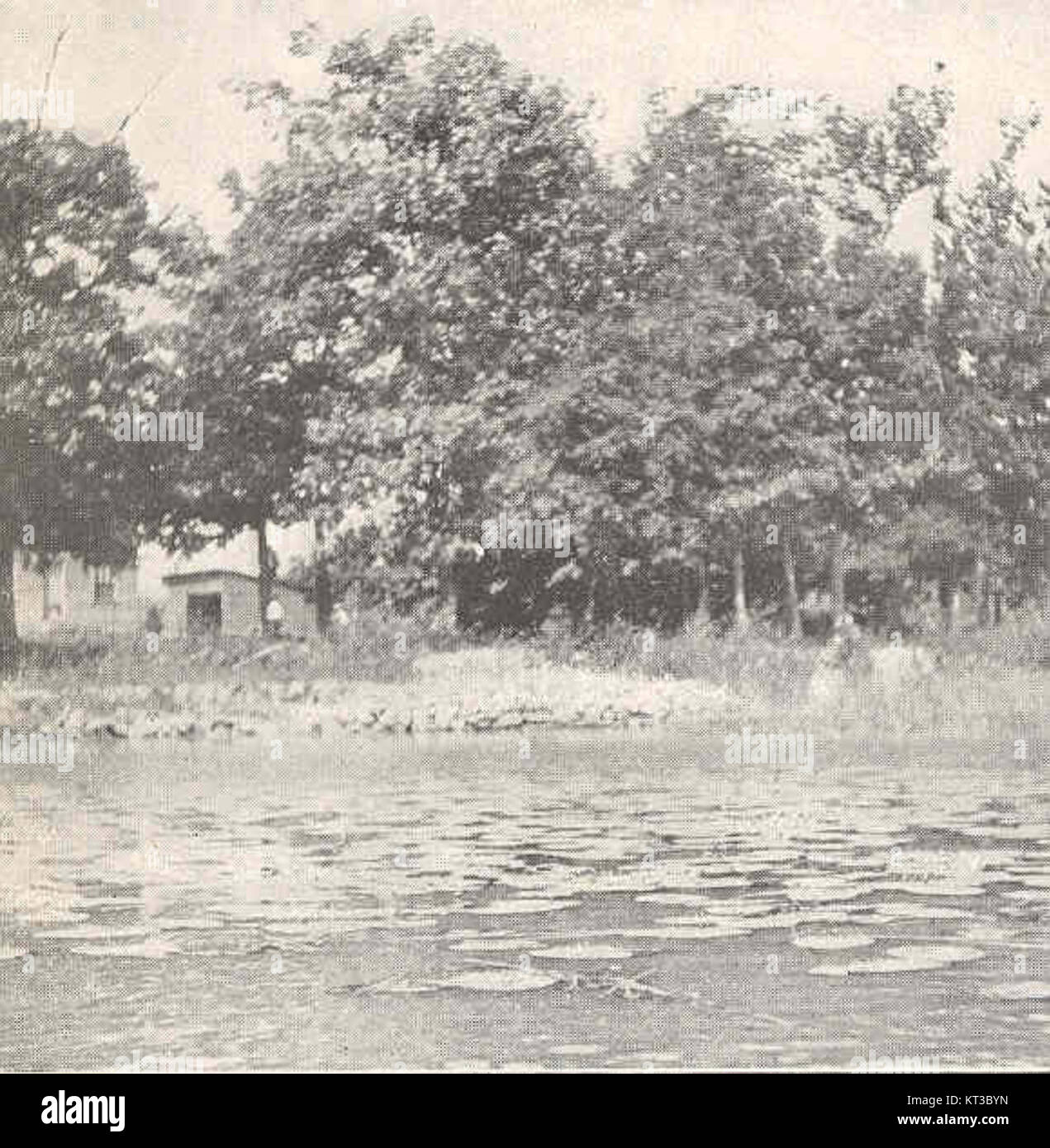 FMIB 40670 is a historical photograph depicting the shoreline of Squaw ...