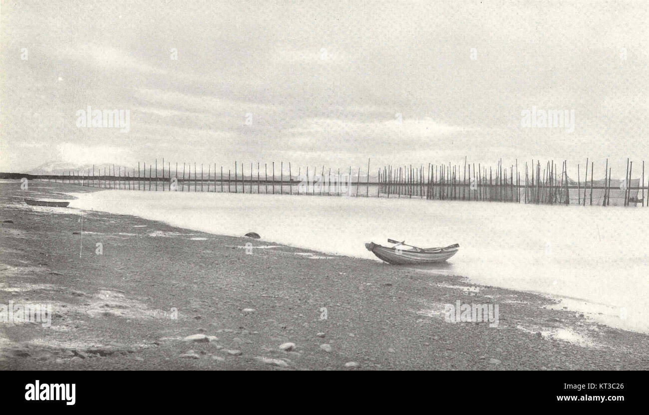 40722 Salmon Trap, Belonging to Alaska Packers Association near Cannery ...