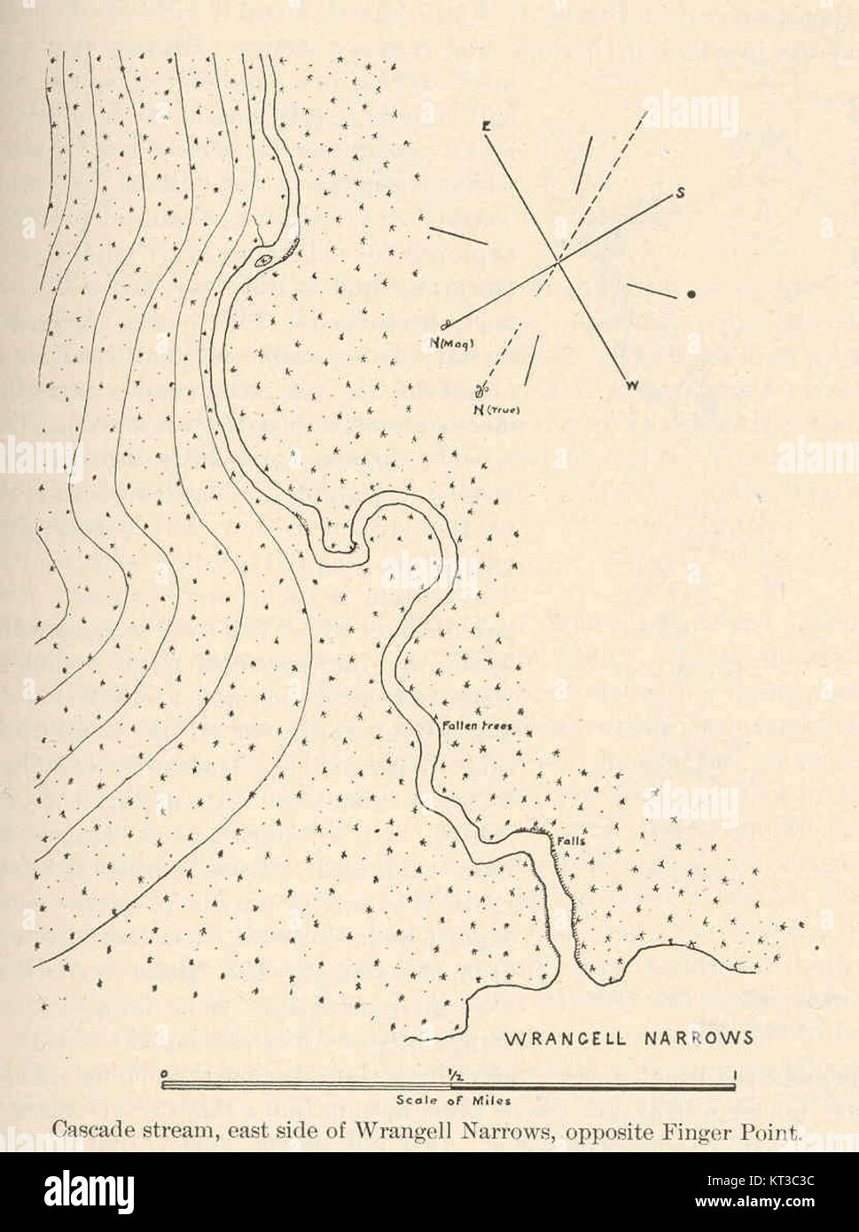 Stream water feature hi-res stock photography and images - Alamy