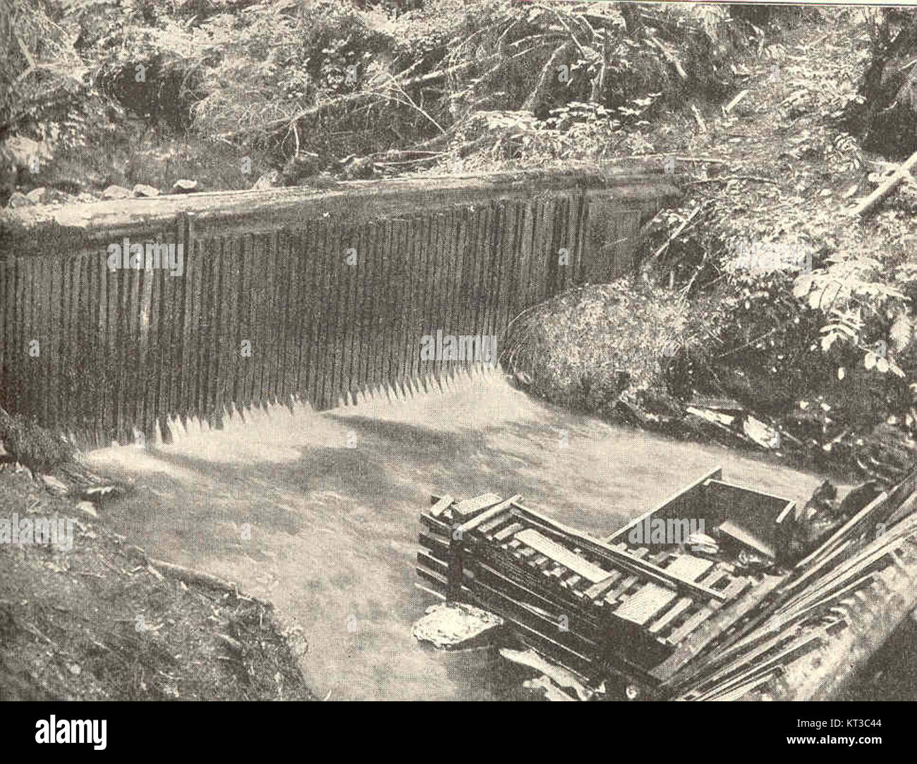 The image depicts a trap pen and barrier in the lower course of a ...