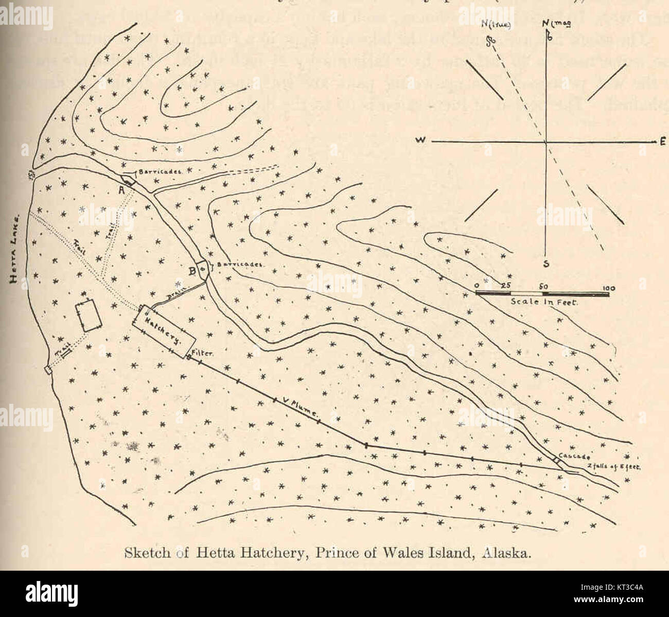 40781 Sketch of Hetta Hatchery, Prince of Wales Island, Alaska Stock ...
