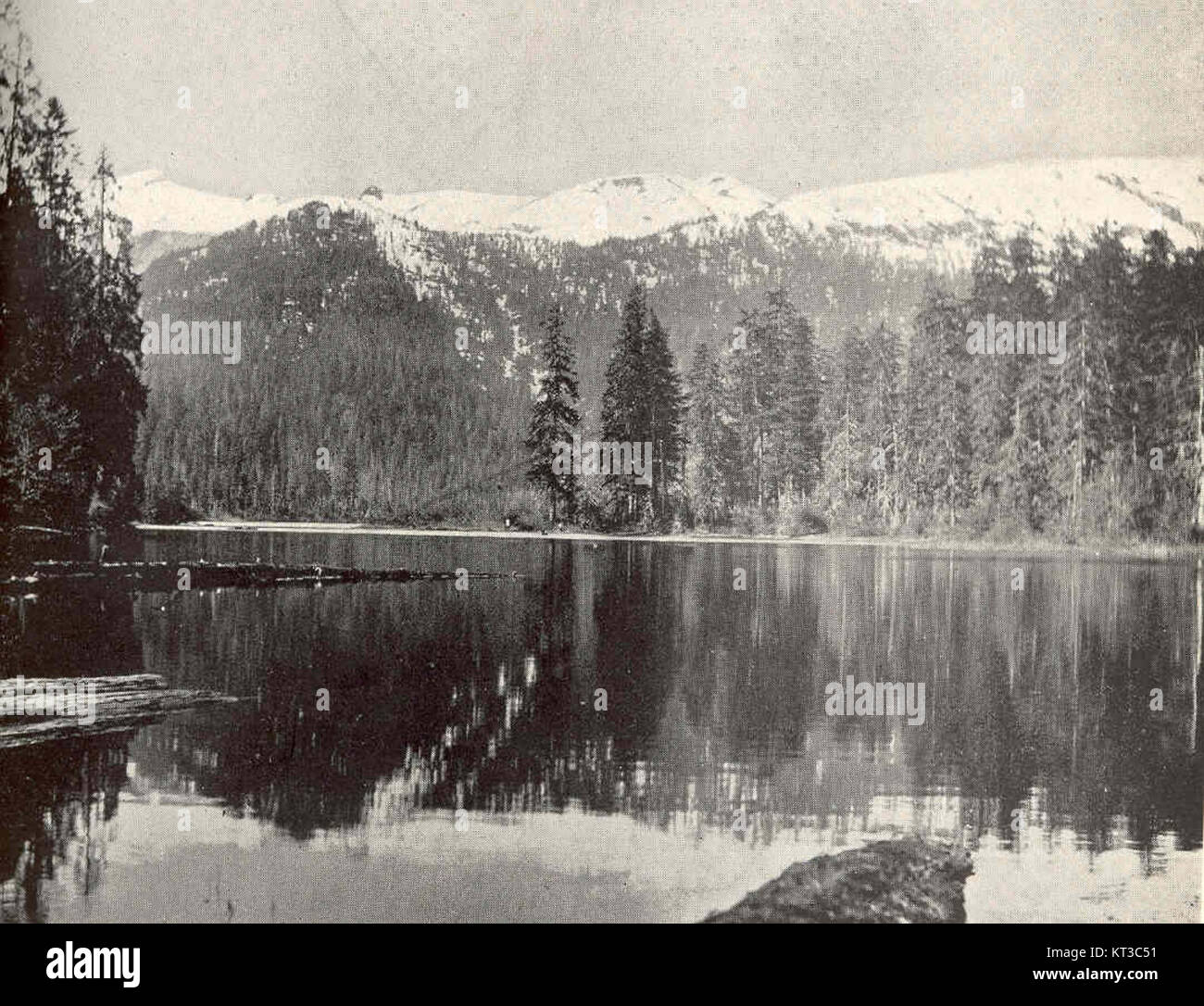 40791 Kunk Lake, Looking Up, Etolin Island, Southeast Alaska Stock ...