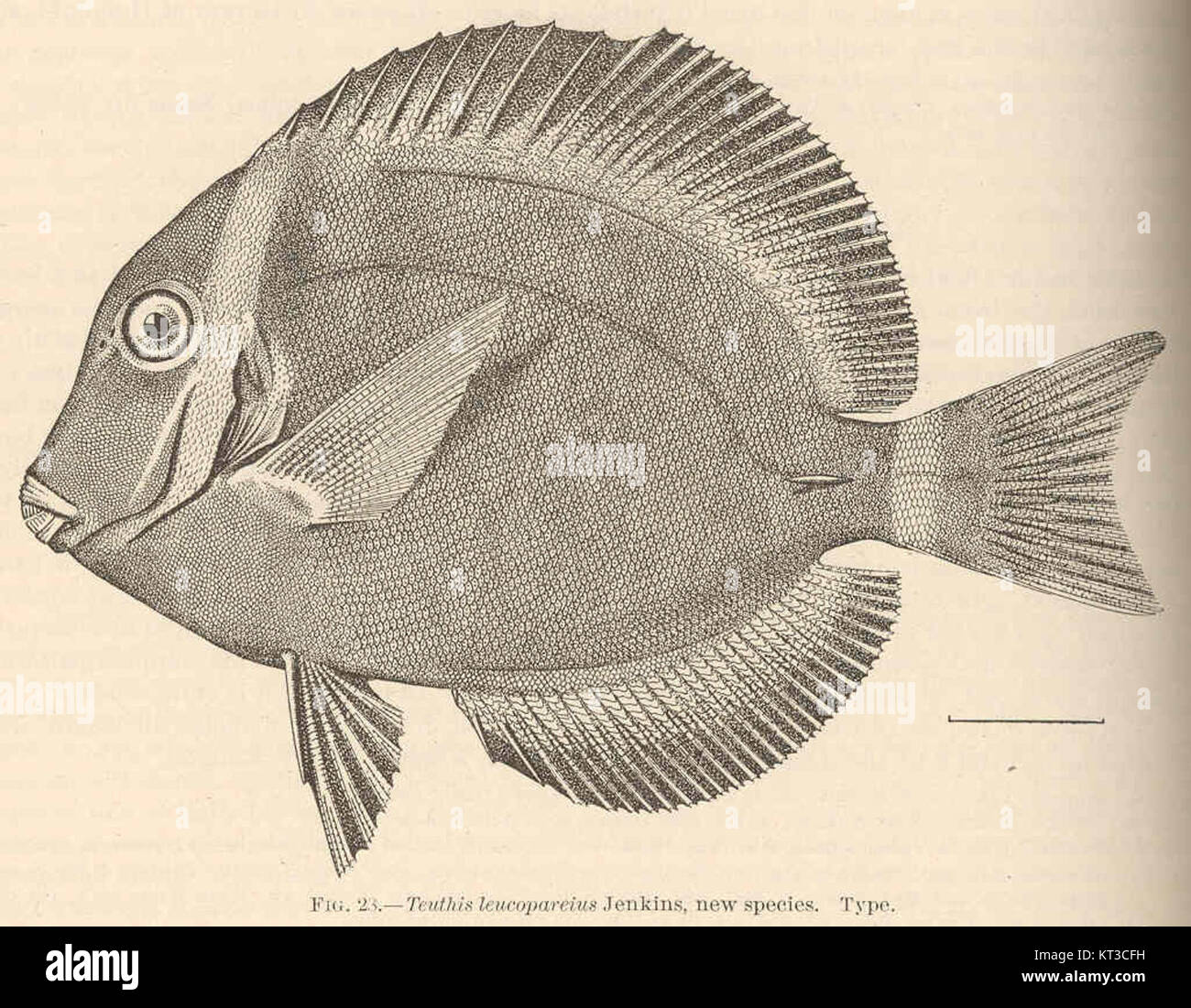 41046 hi-res stock photography and images - Alamy