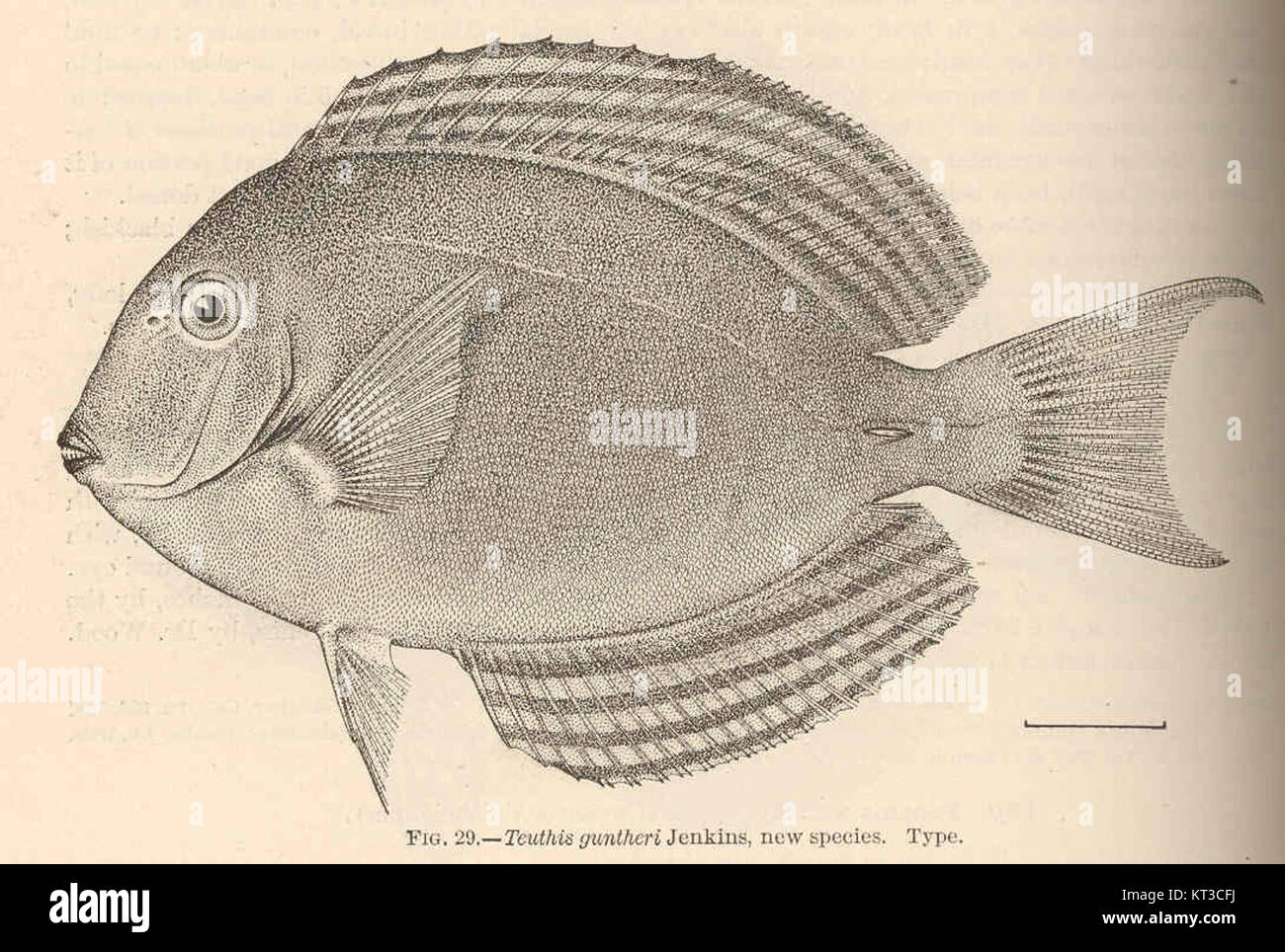 41047 hi-res stock photography and images - Alamy