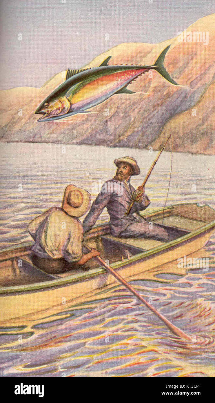 A dynamic image of a tuna leaping over Mr. Berry's boat, capturing the ...