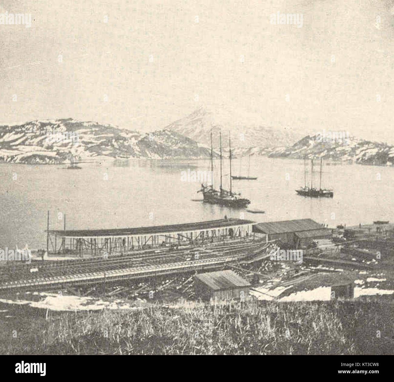 41284 View of Shipbuilding Yard in Captains Harbor, Unalaska Island ...