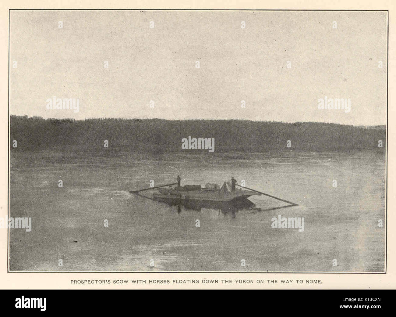 41318 Prospector's scow with horses floating down the Yukon on the way ...