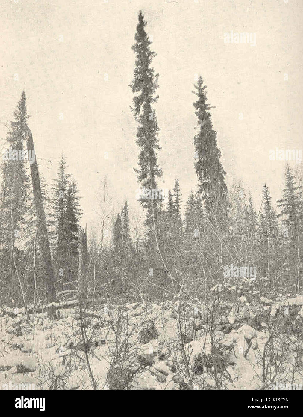 Typical shoemaker hi-res stock photography and images - Alamy