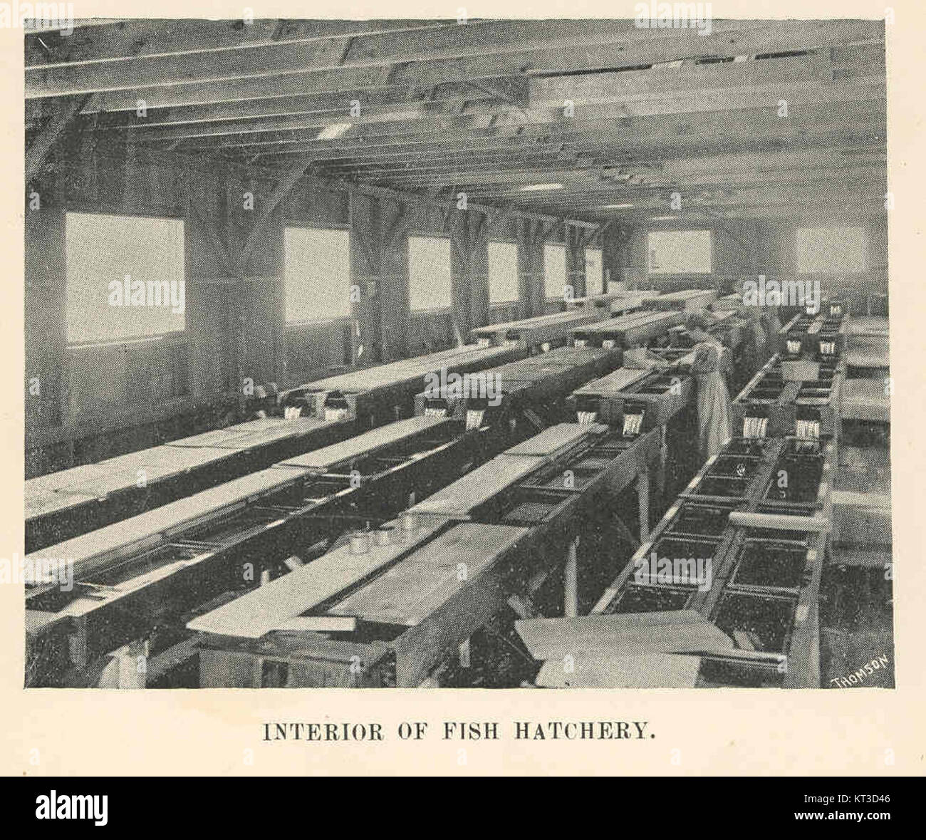 The image shows the interior of a fish hatchery, a facility used for ...