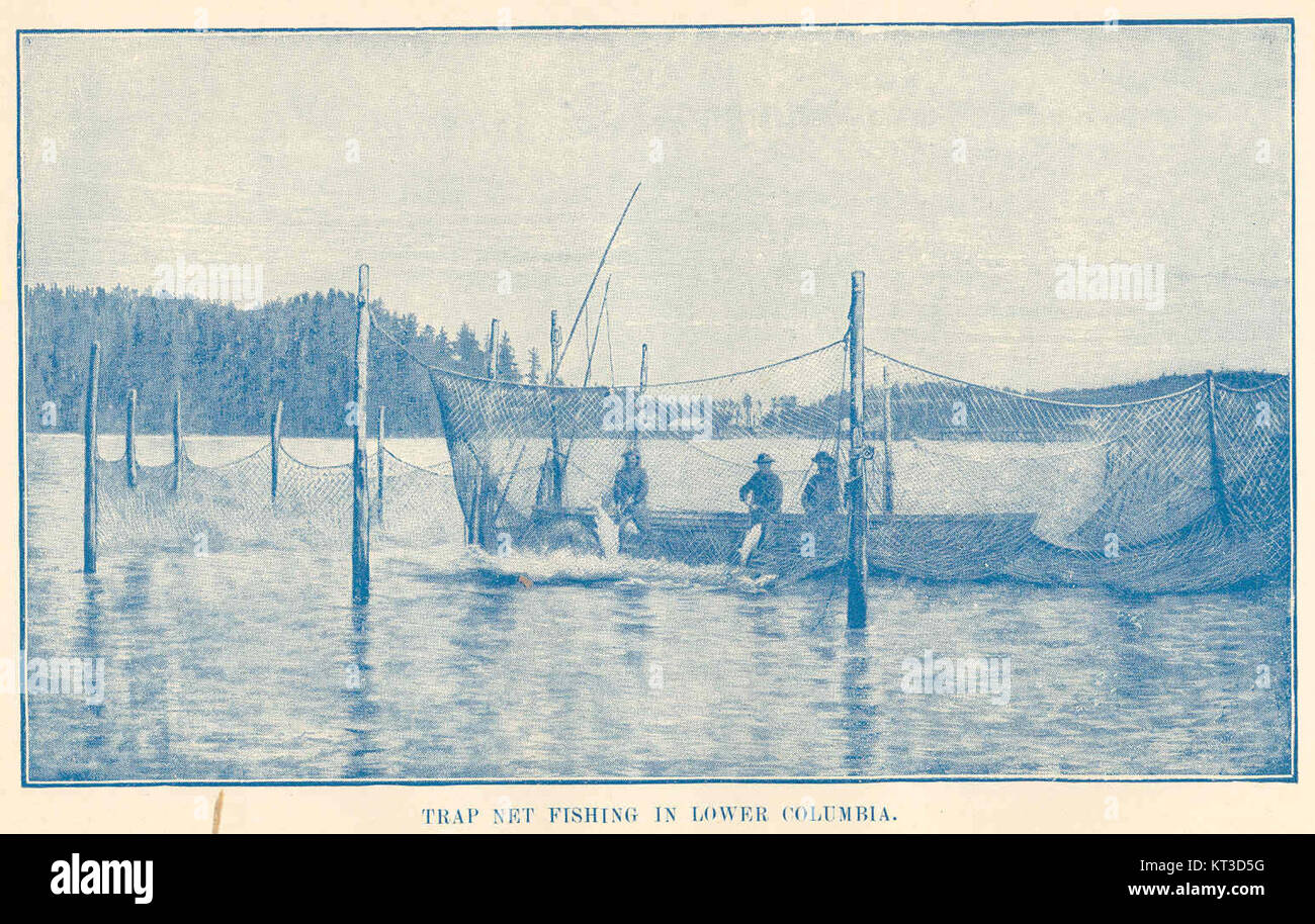 Trap net fishing in the Lower Columbia River is a traditional fishing ...