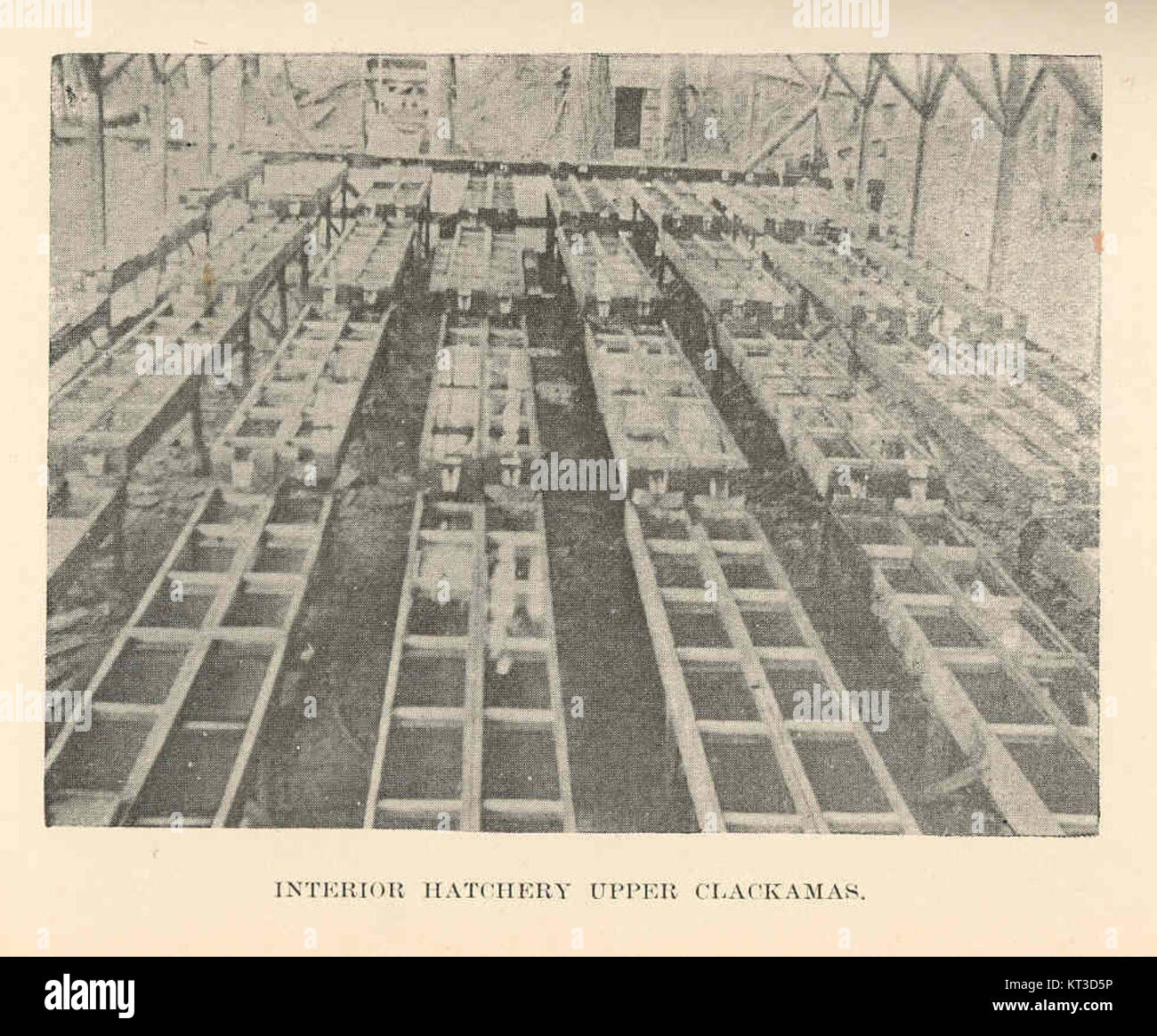 The image depicts the interior of the hatchery at Upper Clackamas ...