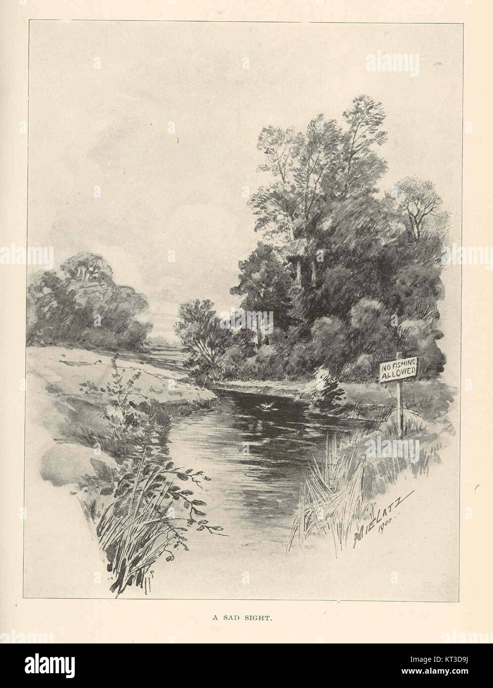 A somber image depicting a tragic event, focusing on the emotional ...